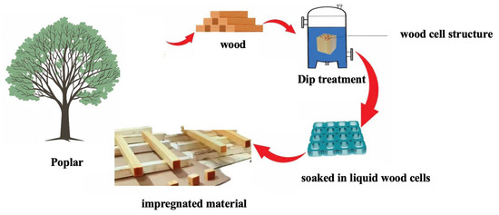 Research on the Impregnation Process and Mechanism of Silica Sol ...