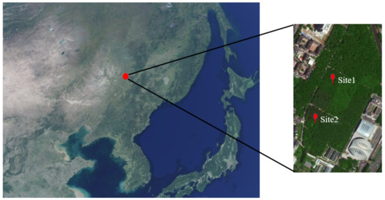 Forests Free Full Text An Automated Pipeline For Extracting Forest Structural Parameters By