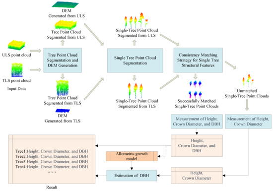 Forests | Free Full-Text | An Automated Pipeline for Extracting Forest Structural Parameters by ...