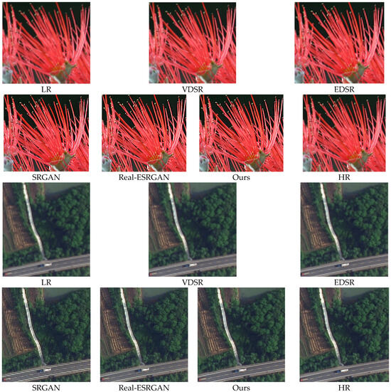 Forest Single-Frame Remote Sensing Image Super-Resolution Using GANs