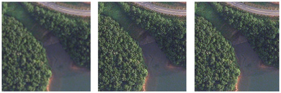 Forest Single-Frame Remote Sensing Image Super-Resolution Using GANs