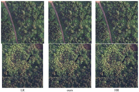 Forests | Free Full-Text | Forest Single-Frame Remote Sensing Image Super-Resolution Using GANs