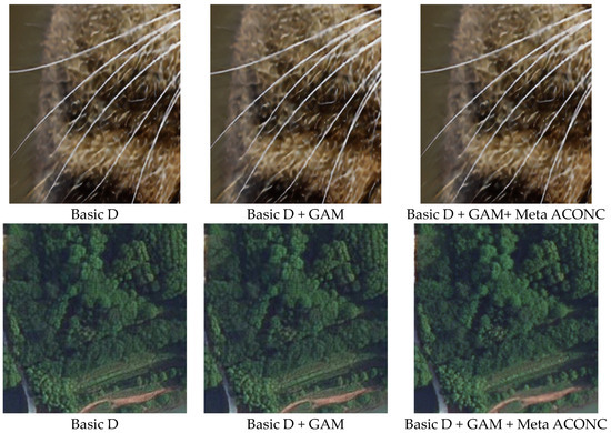 Forest Single-Frame Remote Sensing Image Super-Resolution Using GANs