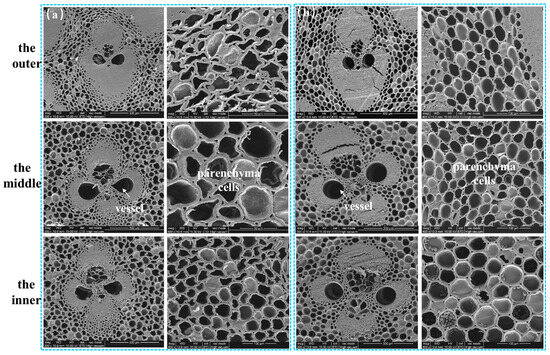 Effects of Microstructure and Chemical Composition on the Visual ...
