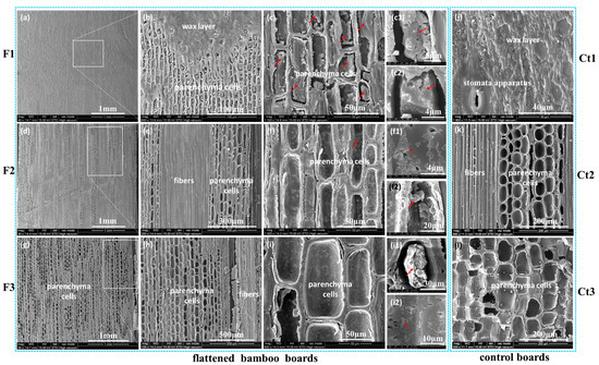 Effects of Microstructure and Chemical Composition on the Visual ...