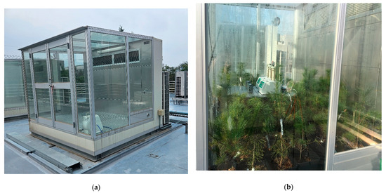 Utilizing SIFT-MS and GC-MS for Phytoncide Assessment in Phytotron ...