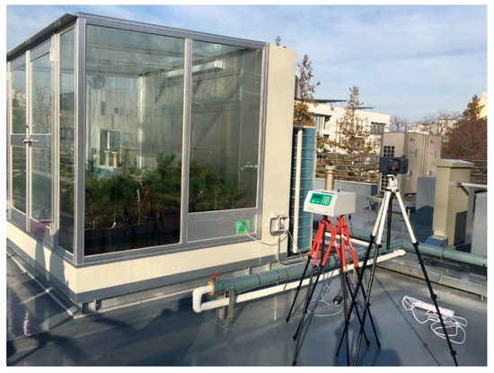 Utilizing SIFT-MS and GC-MS for Phytoncide Assessment in Phytotron ...