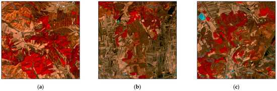 Combining Multisource Data and Machine Learning Approaches for Multiscale Estimation of Forest ...