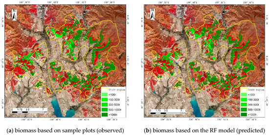 Combining Multisource Data and Machine Learning Approaches for Multiscale Estimation of Forest ...