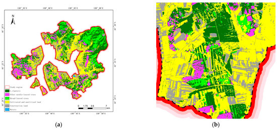 Combining Multisource Data and Machine Learning Approaches for Multiscale Estimation of Forest ...