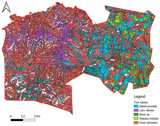 Forests | Free Full-Text | Assessing and Mapping Changes in Forest Growing Stock Volume over ...