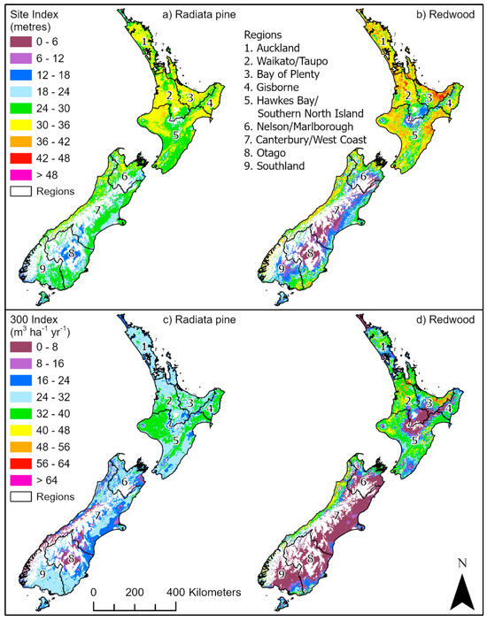 Forests | Free Full-Text | Financial Comparison of Afforestation Using ...