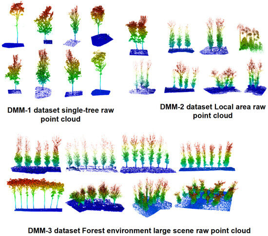 PointDMM: A Deep-Learning-Based Semantic Segmentation Method for Point Clouds in Complex Forest ...