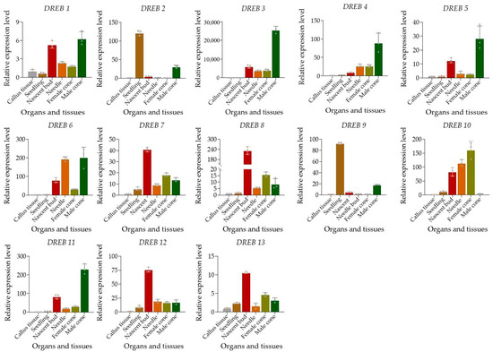 Analysis of the Expression Patterns of 13 DREB Family Genes Related to ...