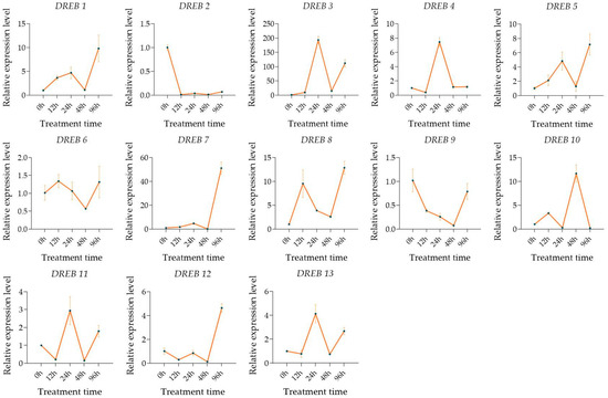 Analysis of the Expression Patterns of 13 DREB Family Genes Related to ...