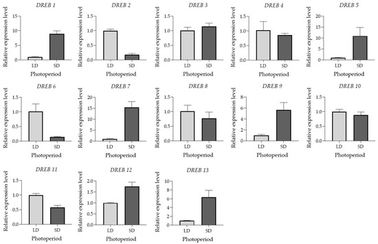 Analysis of the Expression Patterns of 13 DREB Family Genes Related to ...