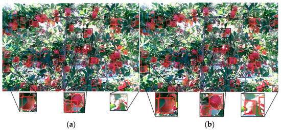 YOLOv5-ACS: Improved Model for Apple Detection and Positioning in Apple Forests in Complex Scenes