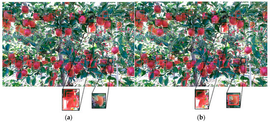 YOLOv5-ACS: Improved Model for Apple Detection and Positioning in Apple Forests in Complex Scenes