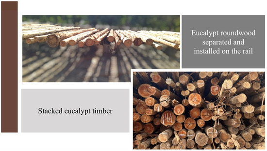 Automatic Detection and Counting of Stacked Eucalypt Timber Using the YOLOv8 Model