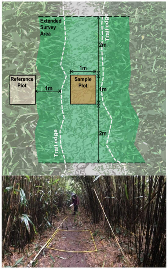 Ecological Carrying Capacity Estimation of the Trails in a Protected ...