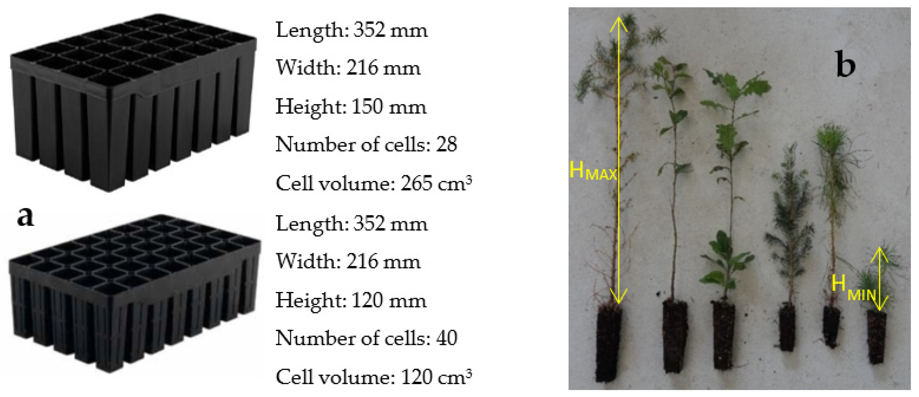 A Seedling Collection Unit of a Mobile Automatic Device for Forest Tree ...