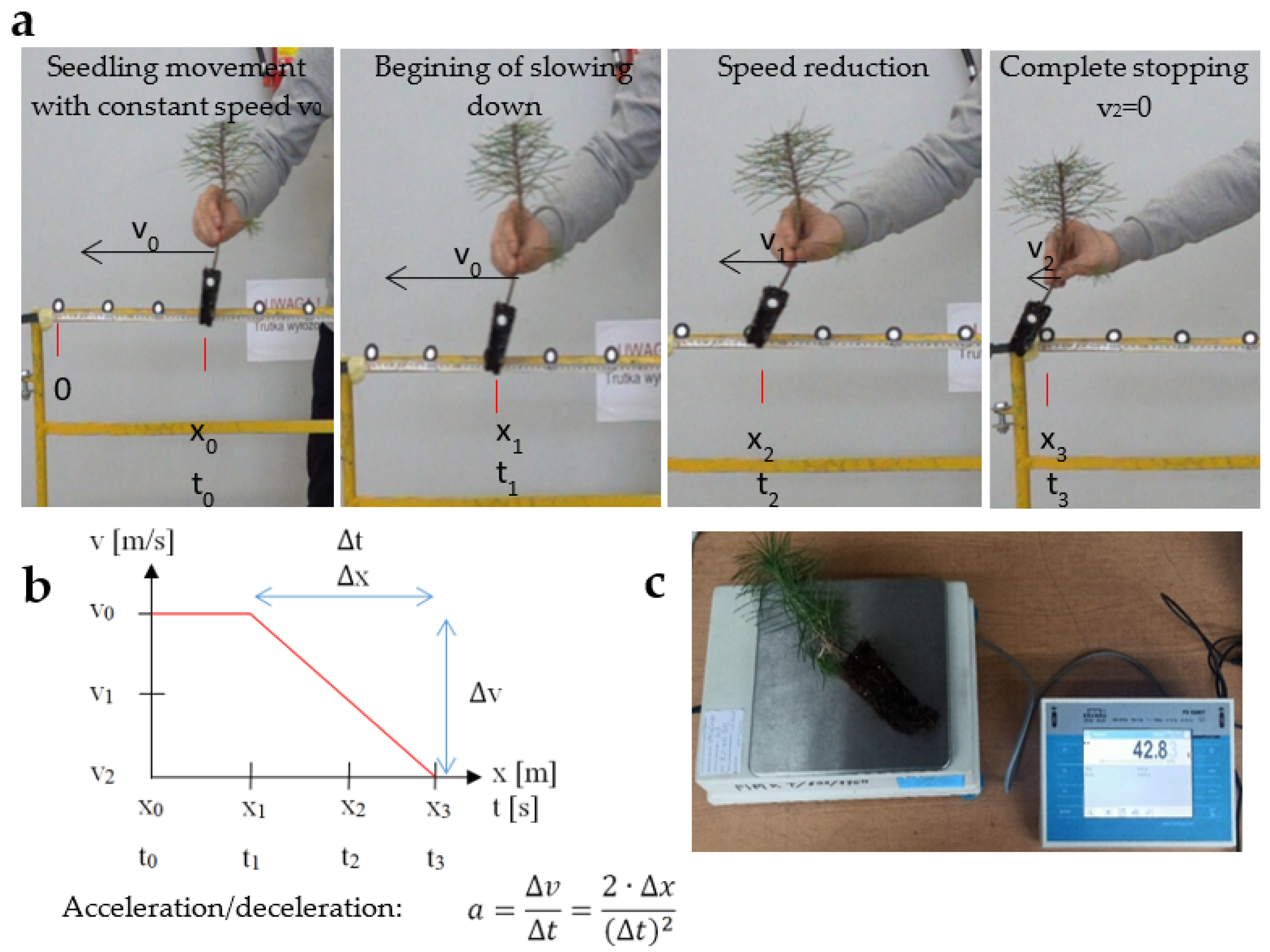 A Seedling Collection Unit of a Mobile Automatic Device for Forest Tree ...