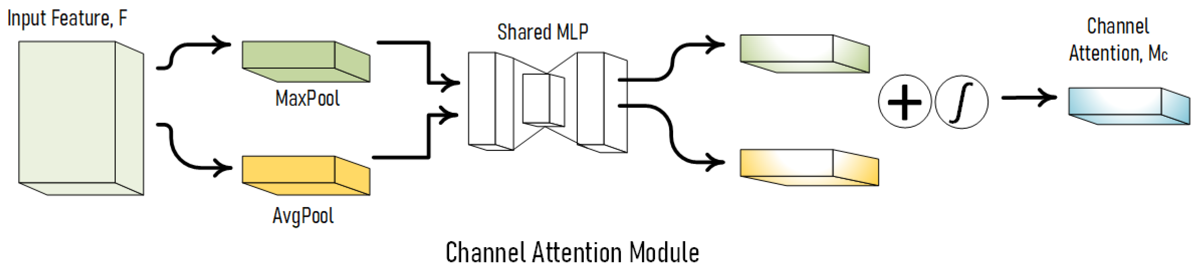 Attention-Based Semantic Segmentation Networks for Forest Applications