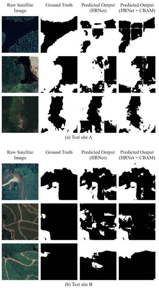 Attention-Based Semantic Segmentation Networks for Forest Applications