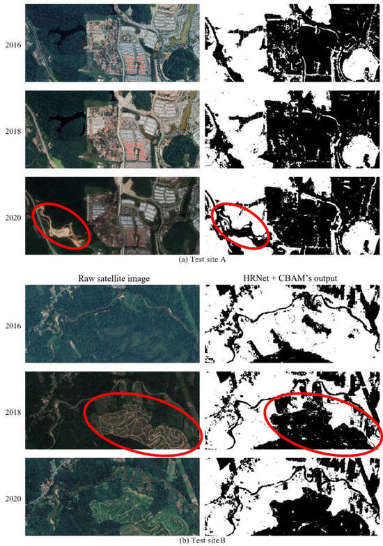 Attention-Based Semantic Segmentation Networks for Forest Applications