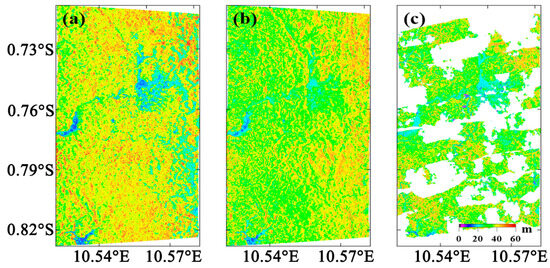 A Fourier–Legendre Polynomial Forest Height Inversion Model Based on a Single-Baseline Configuration