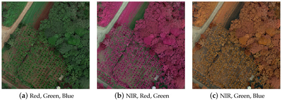 Classification of Tree Species in Transmission Line Corridors Based on ...