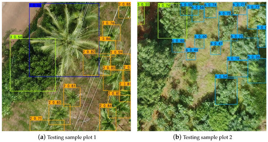 Classification of Tree Species in Transmission Line Corridors Based on ...