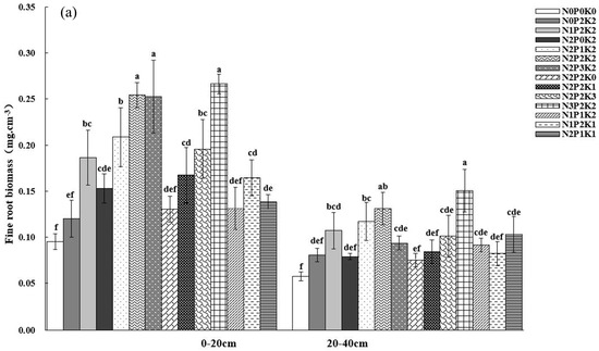 The Effect of Balanced N, P and K Fertilization on Fine Root Traits and Soil Properties in ...