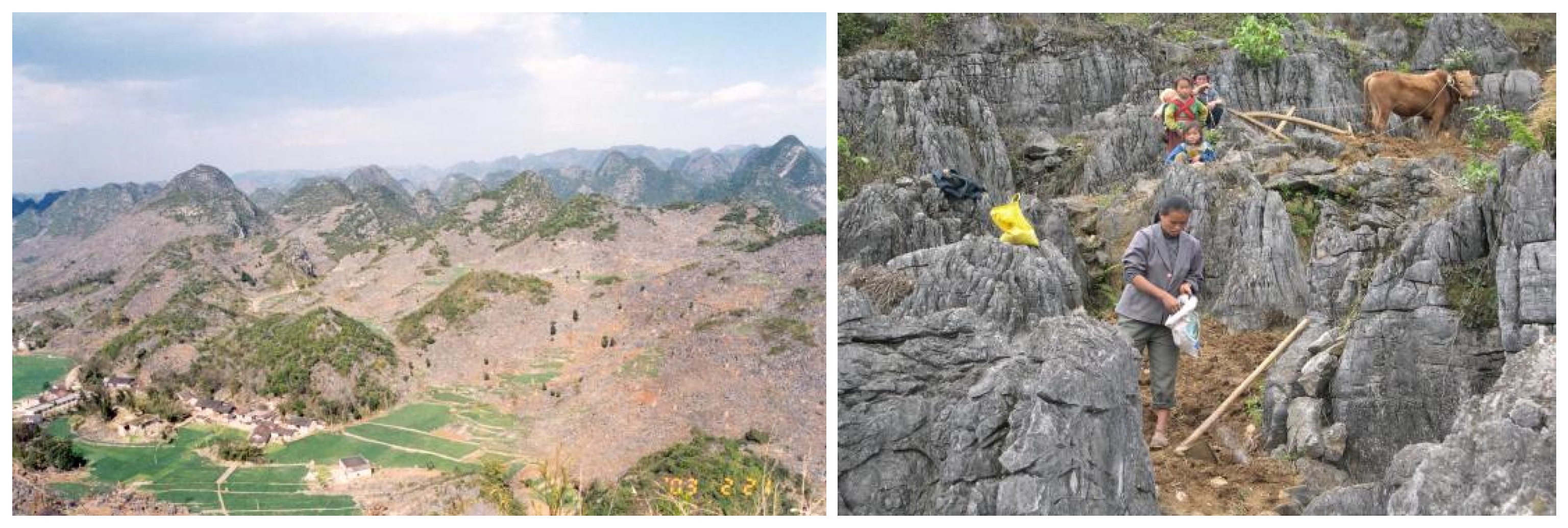 The Global Situation of Karst Desertification Research Based on Forest ...