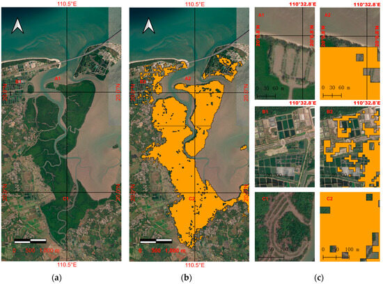 Mangroveseg Deep Supervision Guided Feature Aggregation Network For Mangrove Detection And