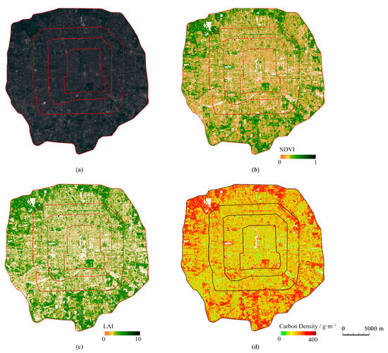 Quantification and Proxy Indicators of the Carbon Pool in Urban Tree ...