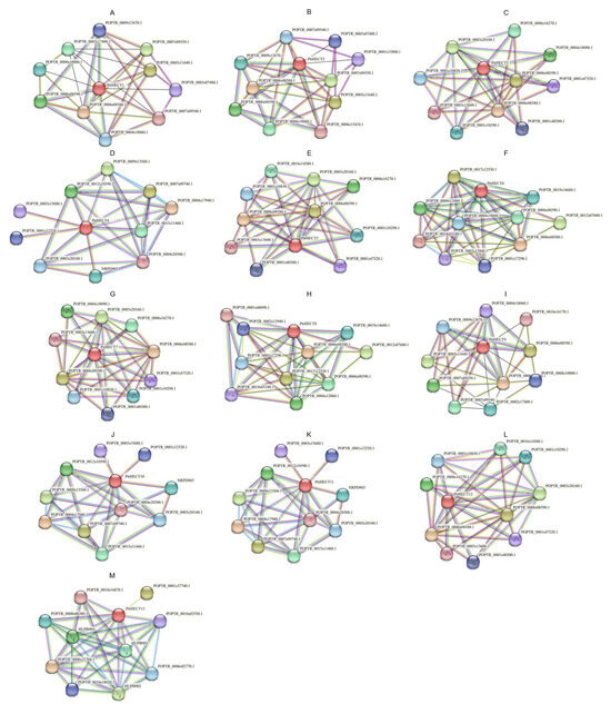 Genome-Wide Analysis of Homologous E6-AP Carboxyl-Terminal E3 Ubiquitin ...