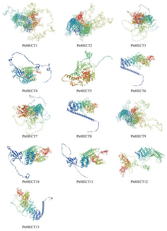 Genome-Wide Analysis of Homologous E6-AP Carboxyl-Terminal E3 Ubiquitin ...