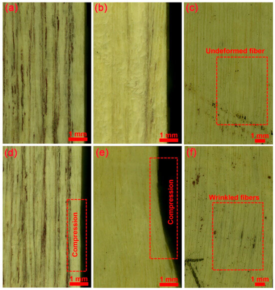 The Observation of Creep Strain Distribution in Laminated Veneer Lumber ...