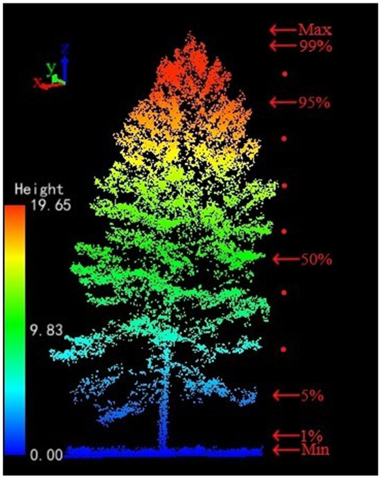 Forests | Free Full-Text | Identification of Larch Caterpillar ...