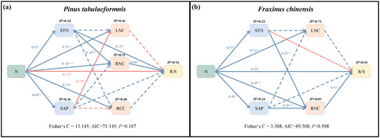 Urban Dominant Trees Followed the Optimal Partitioning Theory and ...