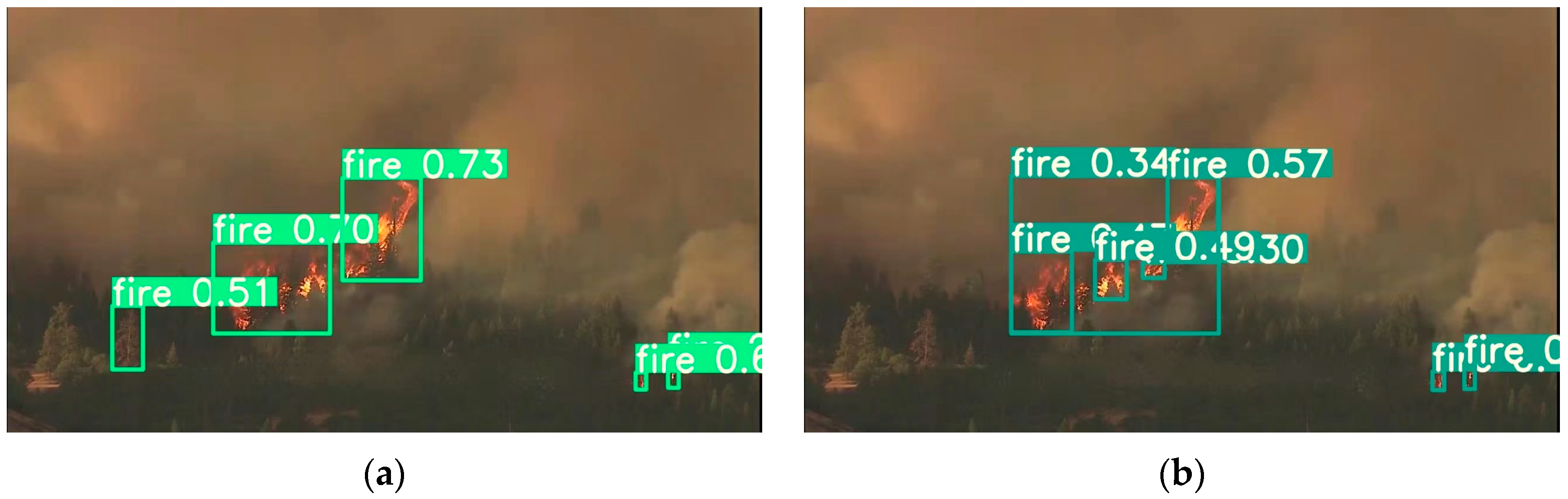 SWVR: A Lightweight Deep Learning Algorithm for Forest Fire Detection and Recognition
