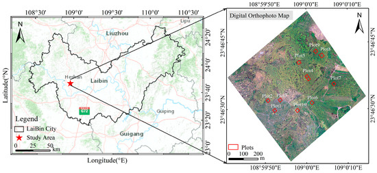 Forests | Free Full-Text | Unmanned Aerial Vehicle–Light Detection and ...