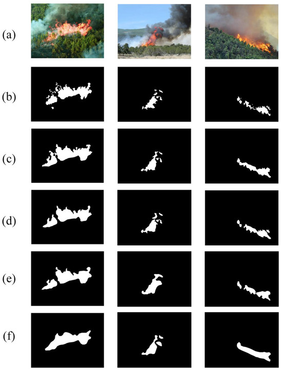 Fire in Focus: Advancing Wildfire Image Segmentation by Focusing on ...