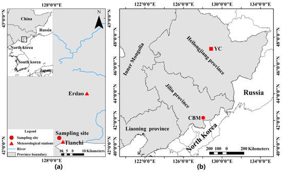 Two Centuries of Winter Temperature Variability Inferred from Betula ...