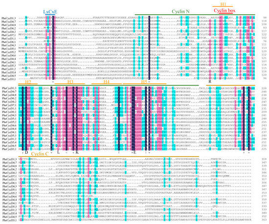 Forests | Free Full-Text | The Moso Bamboo D-Type Cell Cycle Protein ...