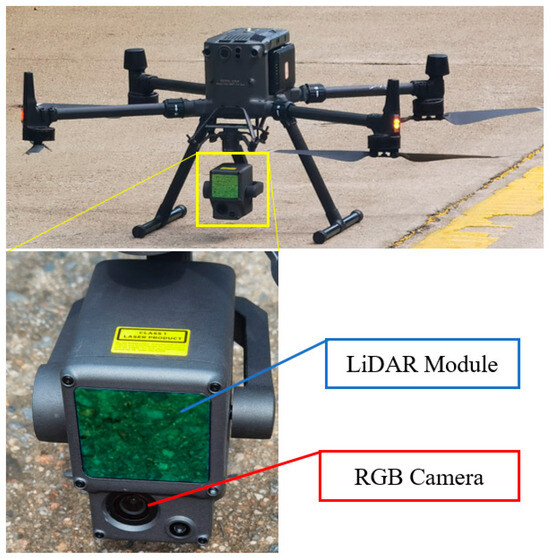 Individual Tree Species Identification for Complex Coniferous and Broad-Leaved Mixed Forests ...