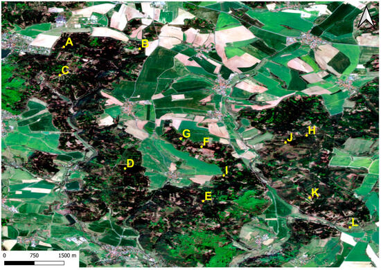 Forests | Free Full-Text | Spruce Protection against Ips typographus ...