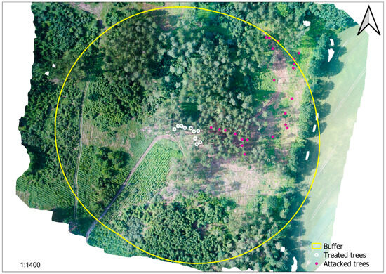 Forests | Free Full-Text | Spruce Protection against Ips typographus ...