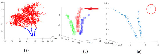 Modeling the Geometry of Tree Trunks Using LiDAR Data